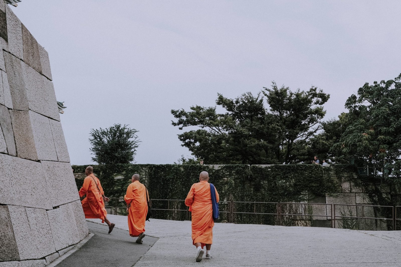 Discernment in Buddhism | FAITH DIMENSIONS